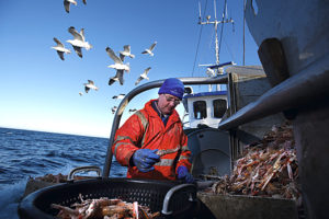 Læsø Fiskeindustri